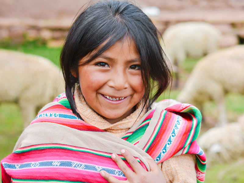 Clients - Concord Direct